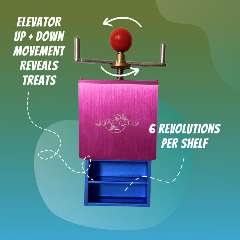 Busy Bird Toys – Bird toys that keep your birds busy!